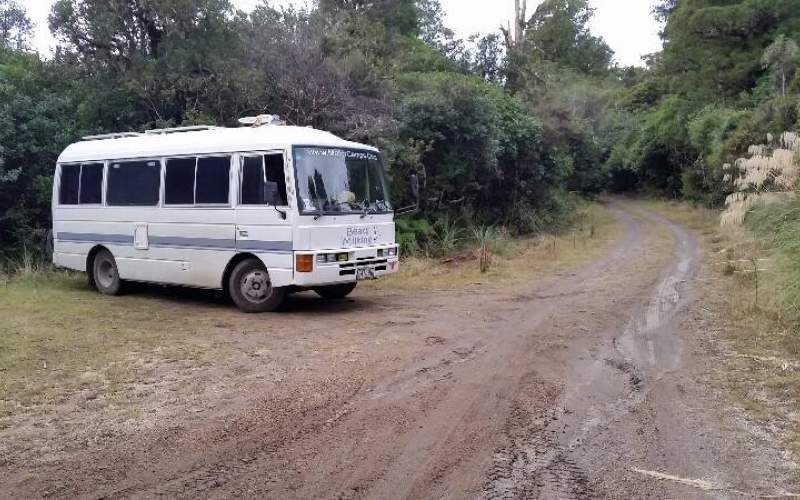 Taurewa Loop Track Carpark | Freedom/Basic Camp | New Zealand